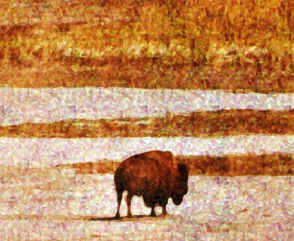 Quietly Steadfast – One Woman's Quest