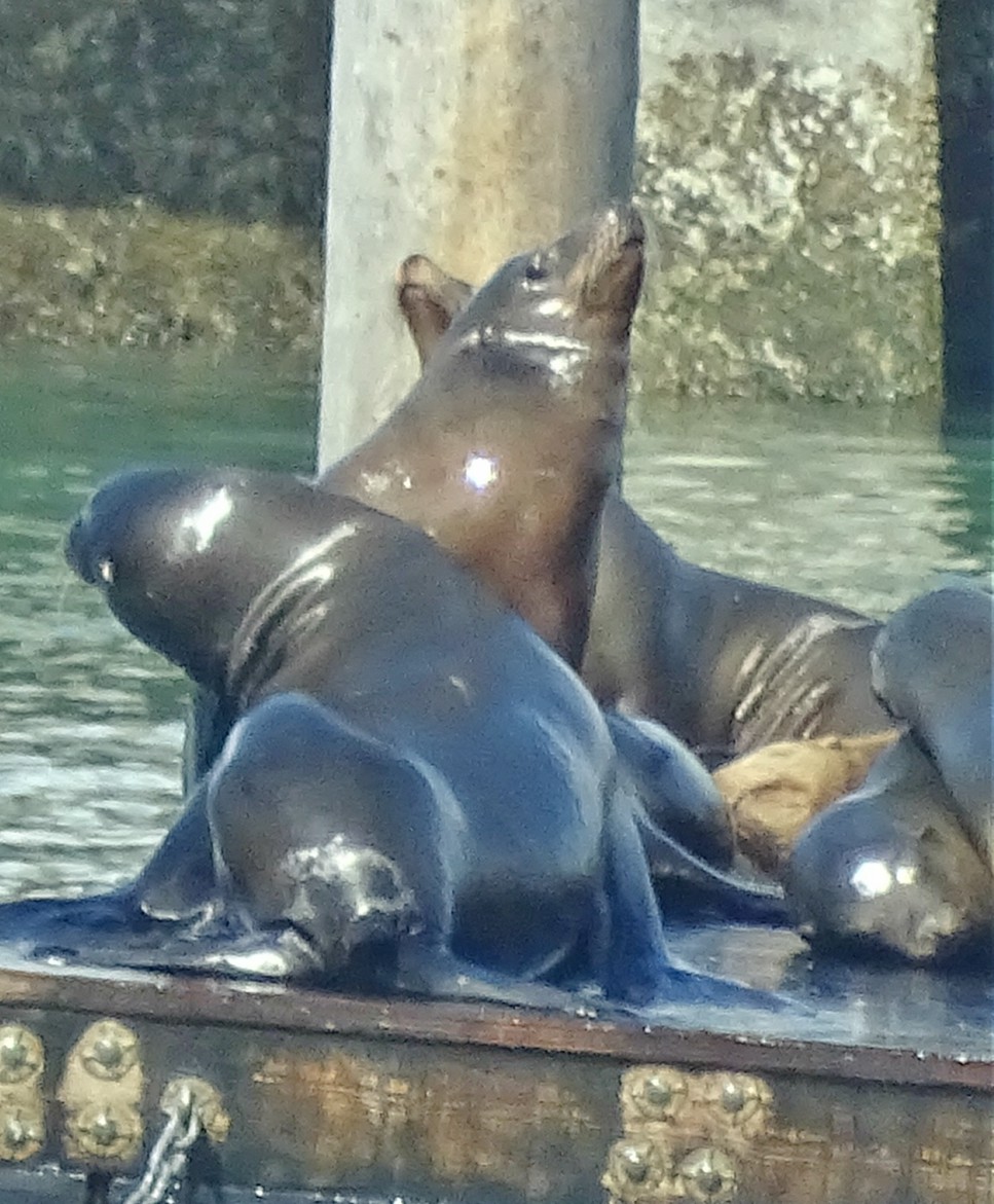 Slippery – One Woman's Quest