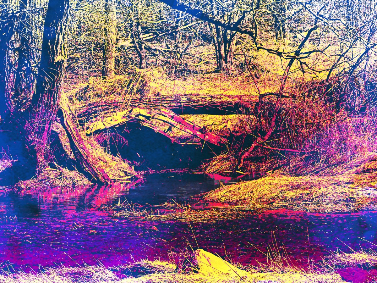 Brute – One Woman's Quest