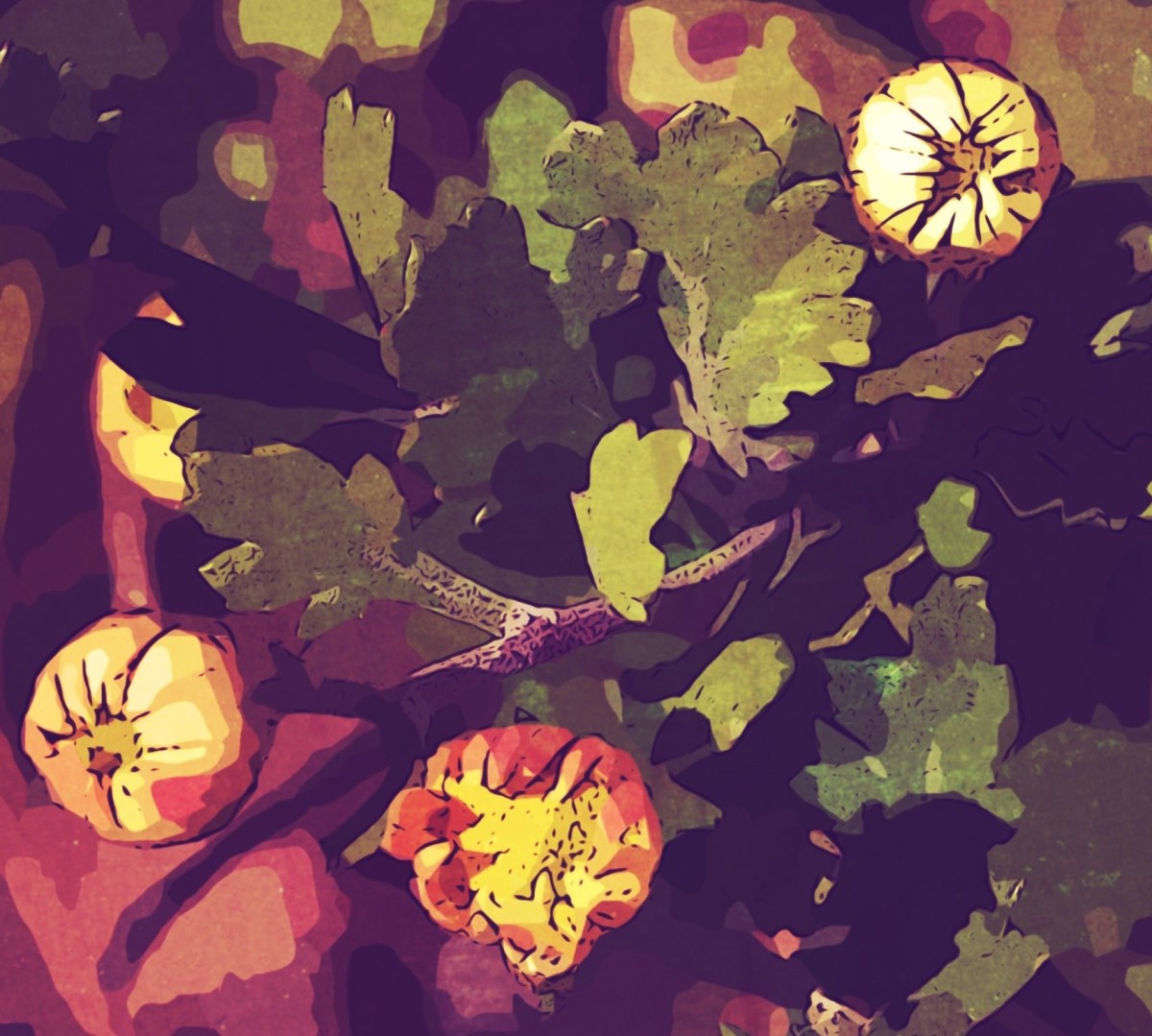 Reluctant – One Woman's Quest