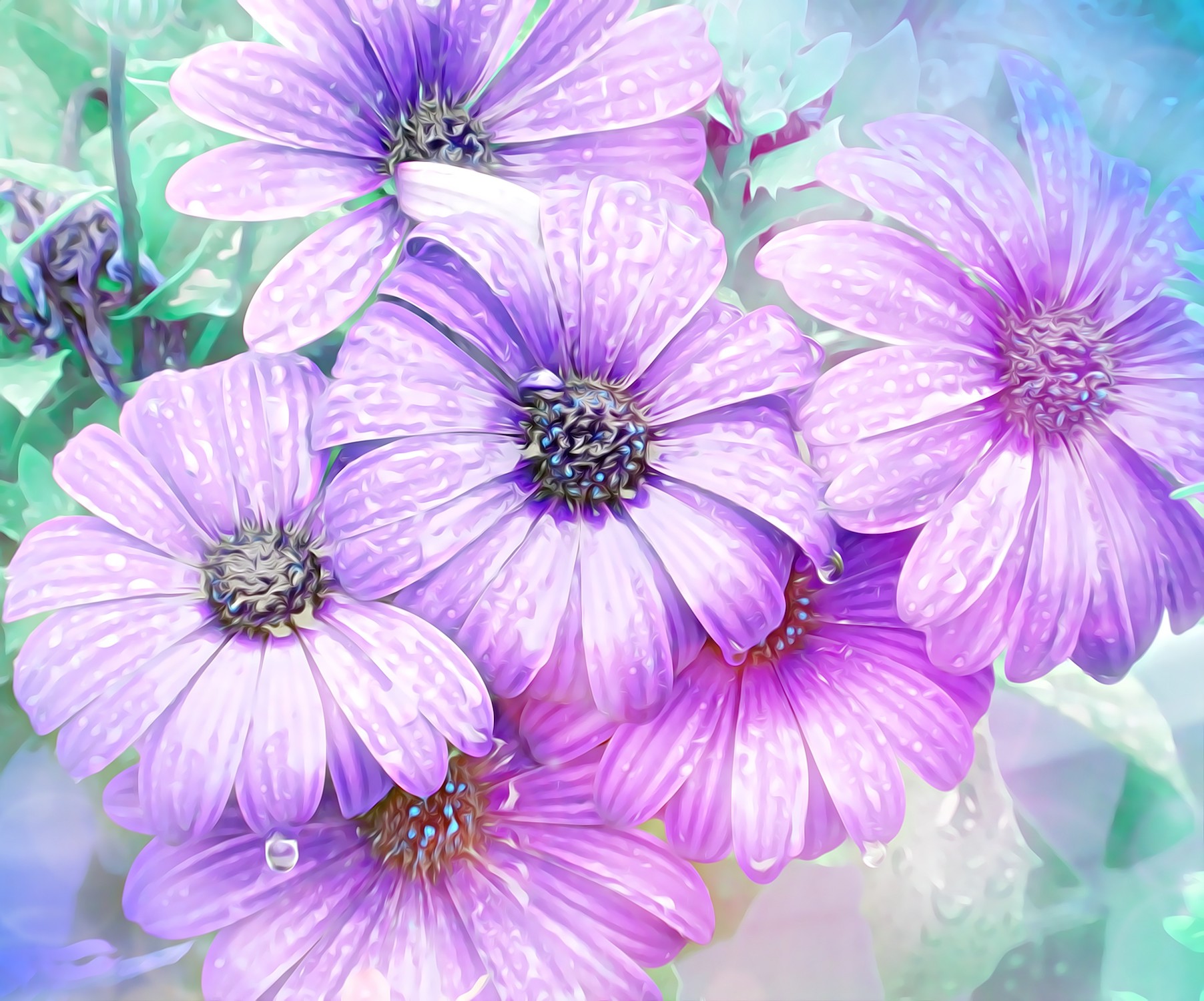 Appreciation (haiku) – One Woman's Quest