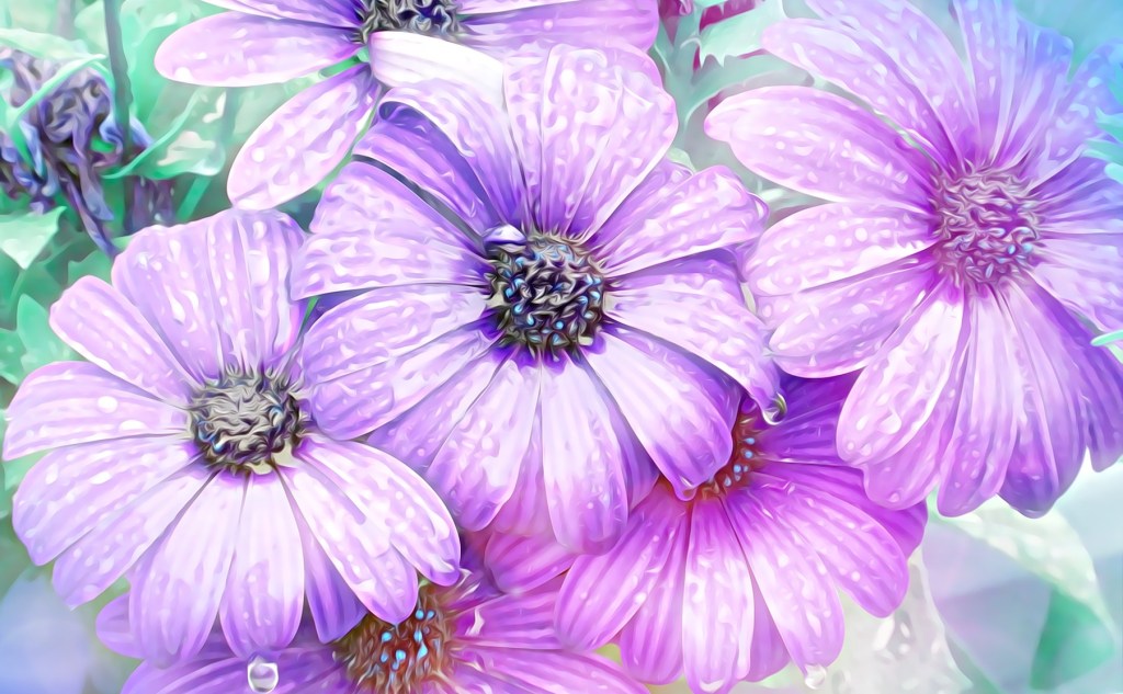 Appreciation (haiku) – One Woman's Quest