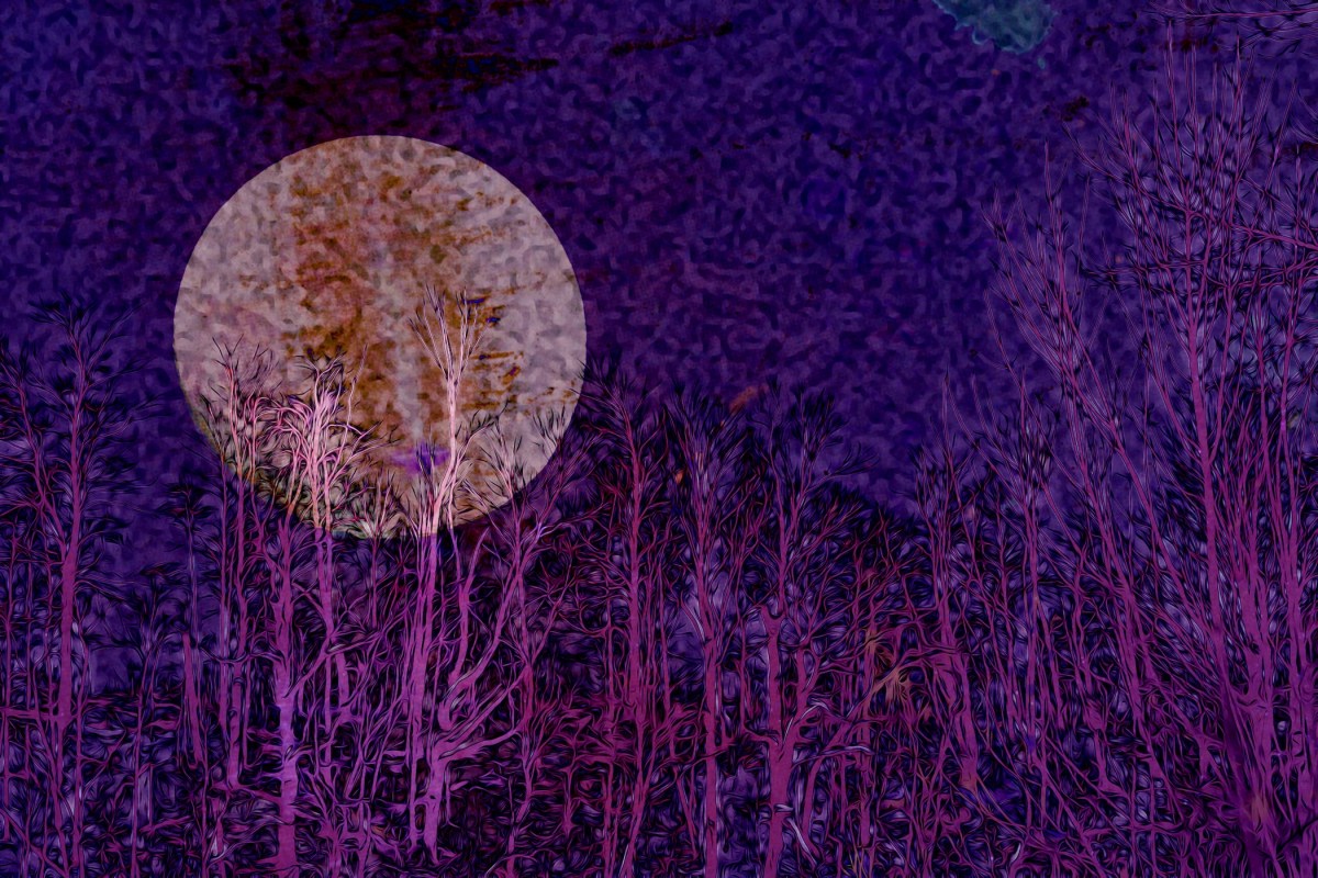 In The Moment – One Woman's Quest