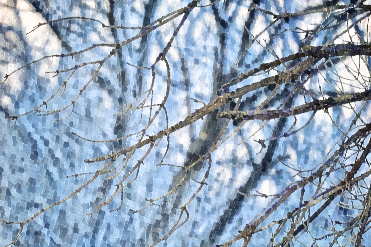 Death in the Family (tanka) – One Woman's Quest