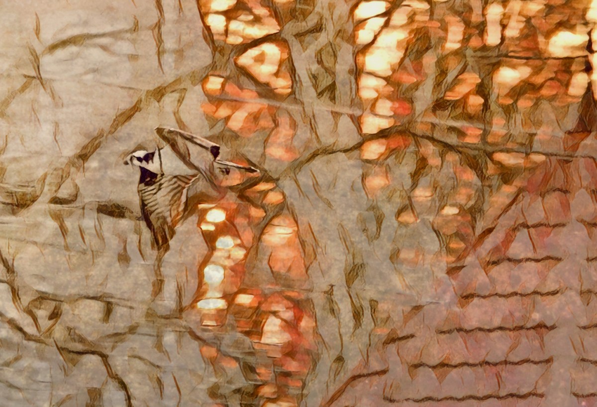 Craving Calm (tanka) – One Woman's Quest