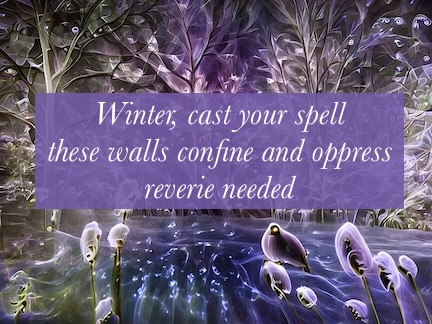Winter, Please – One Woman's Quest